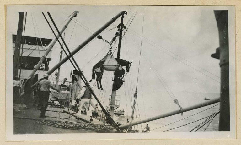 Hoists in history - Lifting Hoists Direct